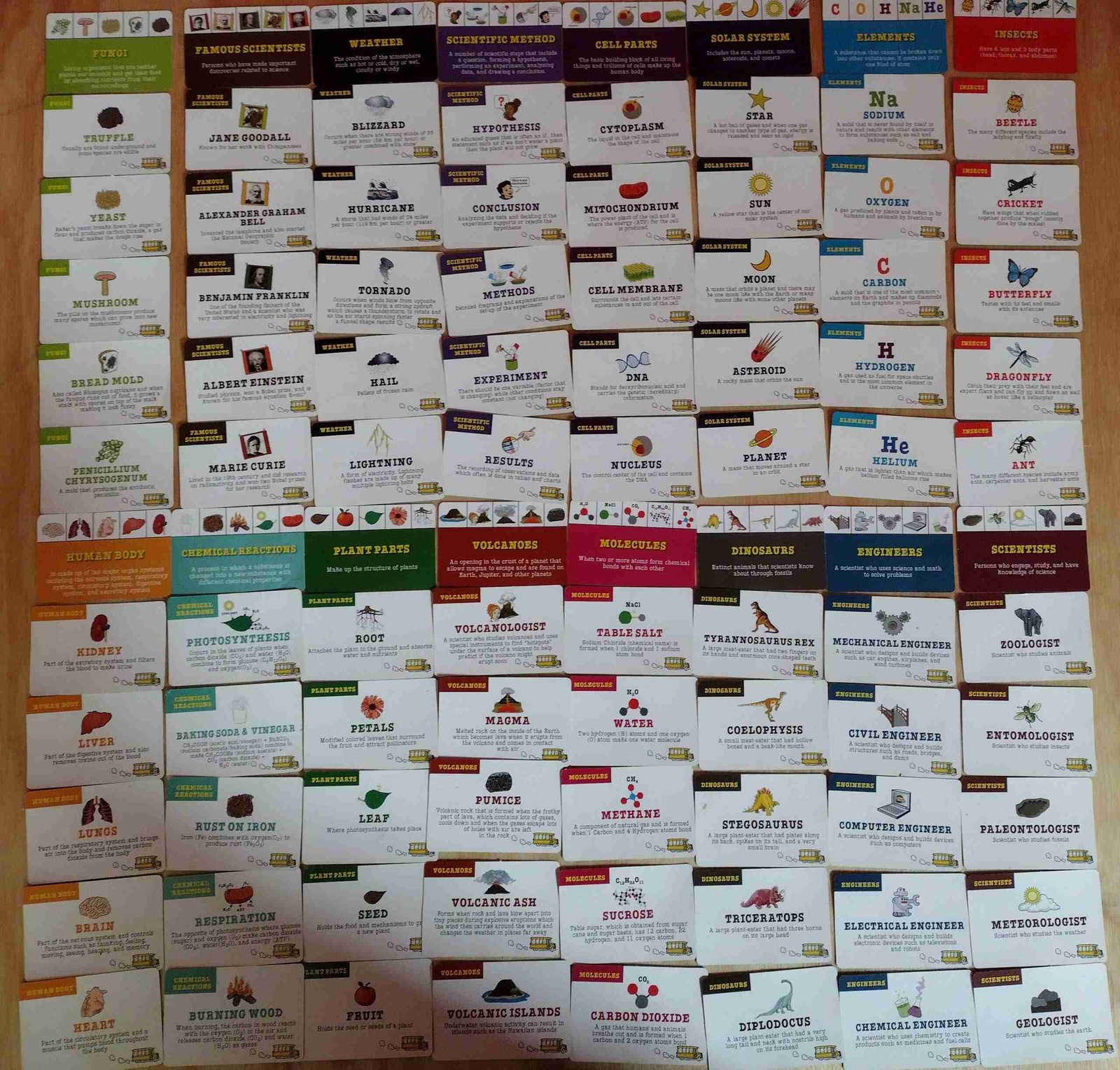 Science Explosion : Gypsy Gameschooler