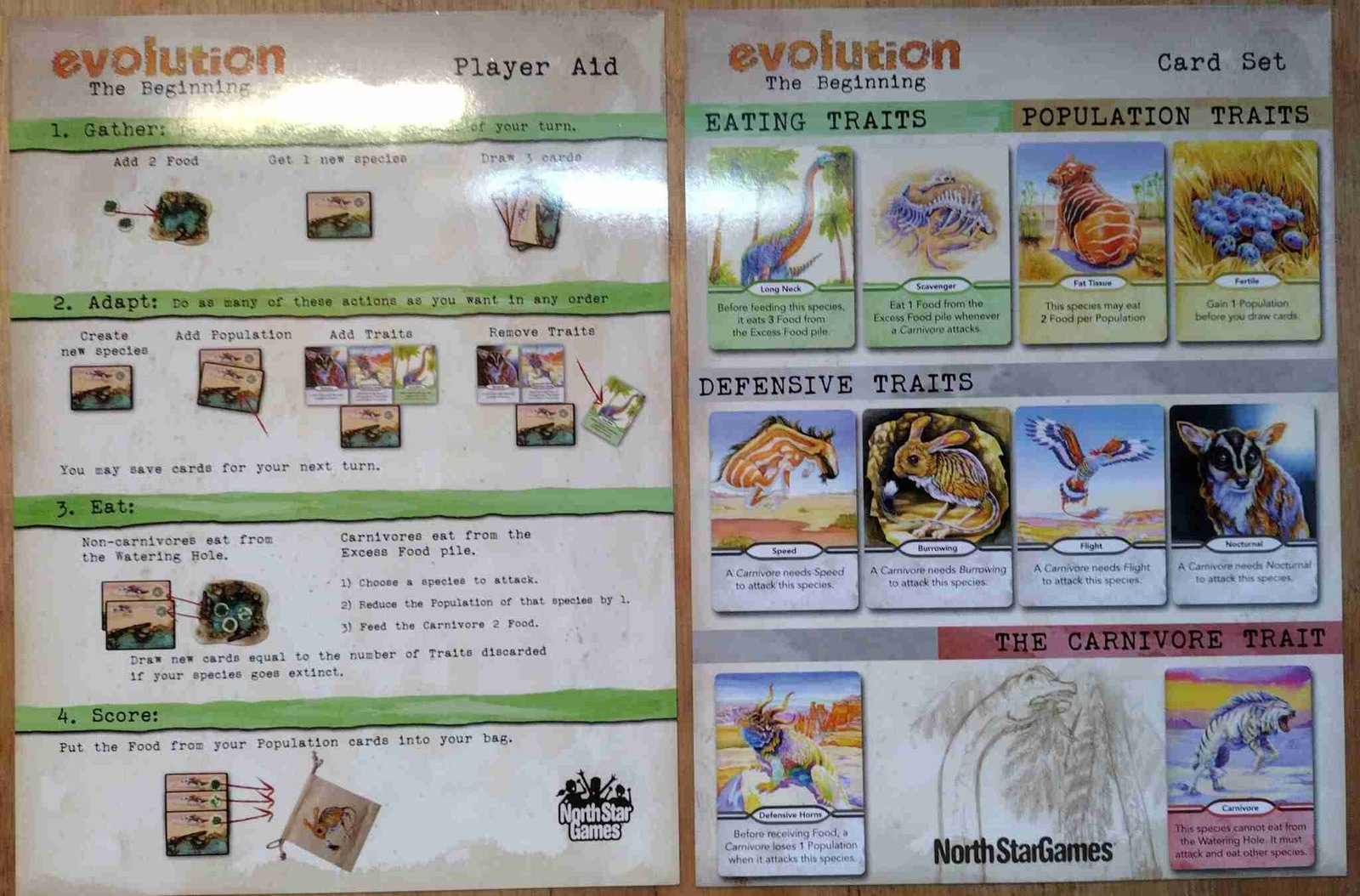 Evolution: The Beginning : Gypsy Gameschooler