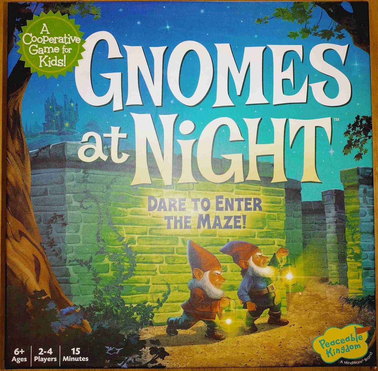 Cooperative Games : Gypsy Gameschooler